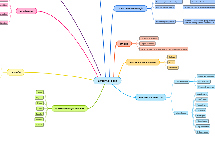 Entomologia - Mind Map